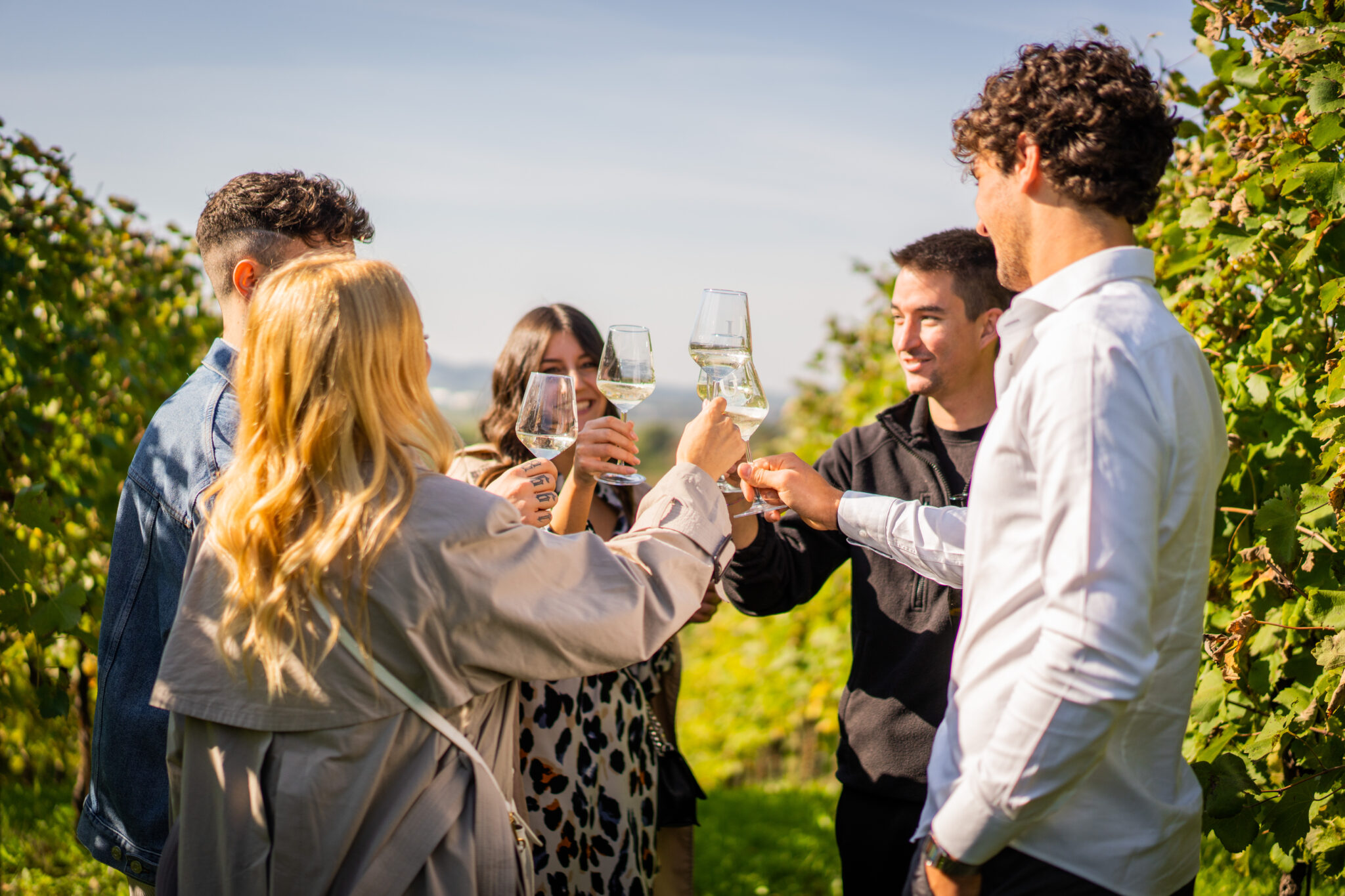 SPUMANTI GEMIN - PRIMAVERA DEL PROSECCO